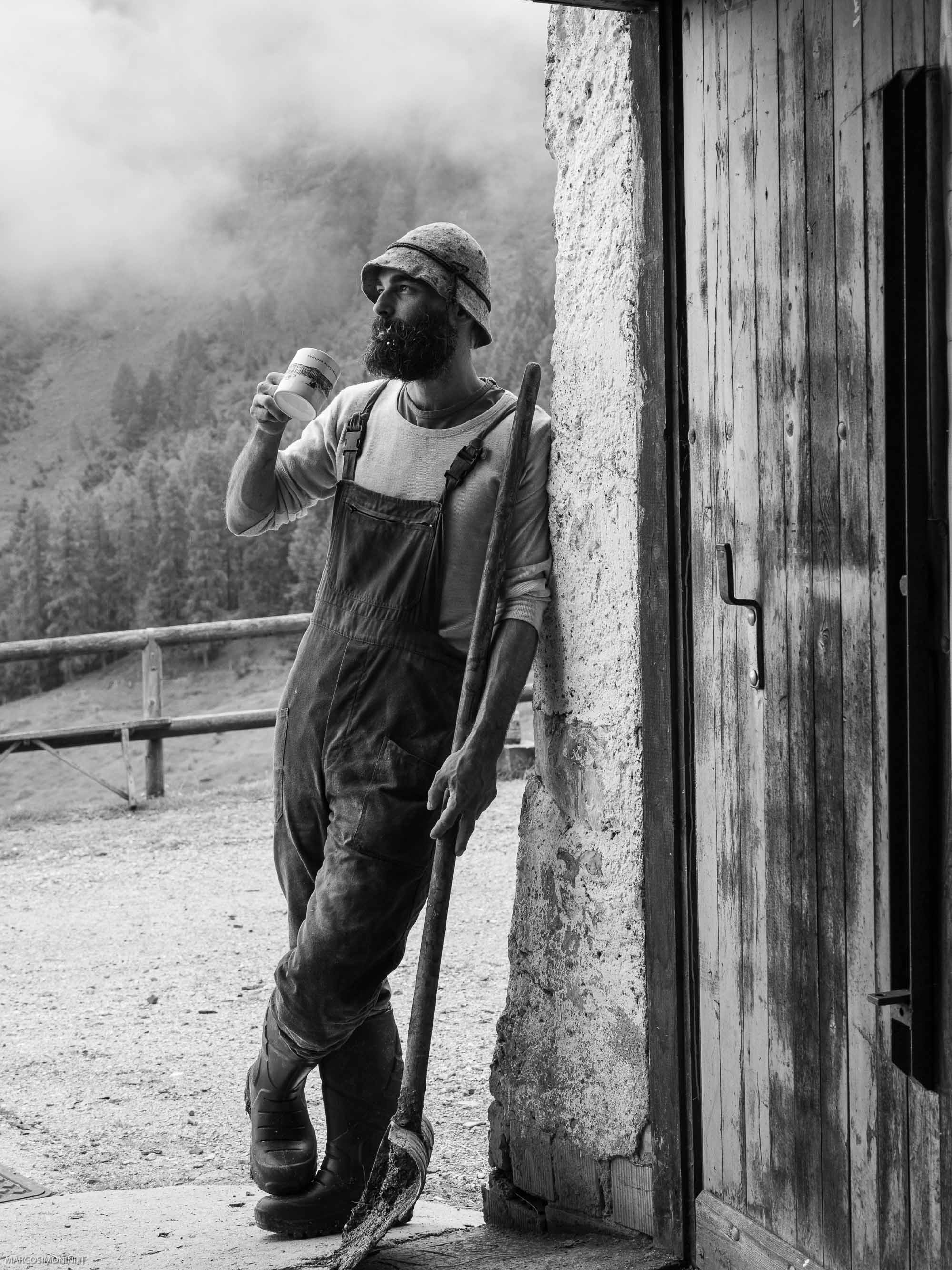 Cercatori derba Malghe da formaggio in Trentino 15 storie di vita del ...